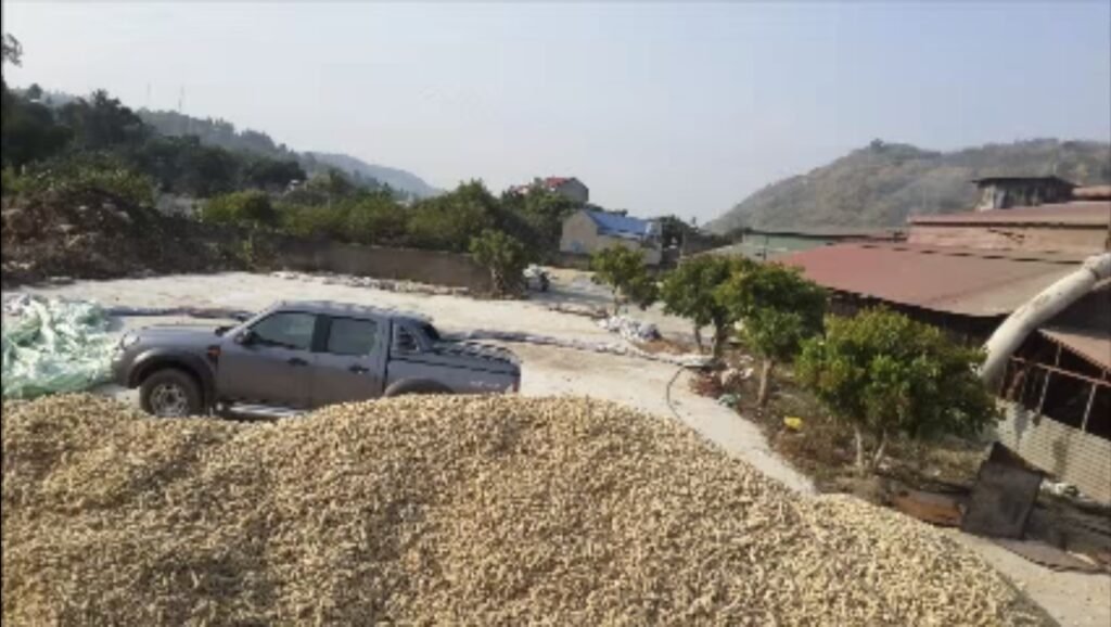 Home - solaco.com.vn